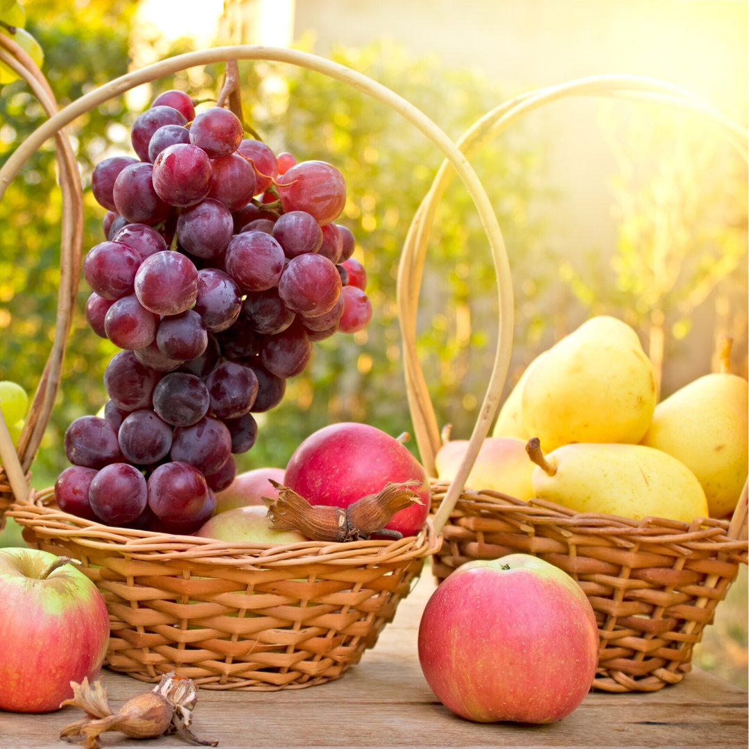 Fruits – Agourifoods.com